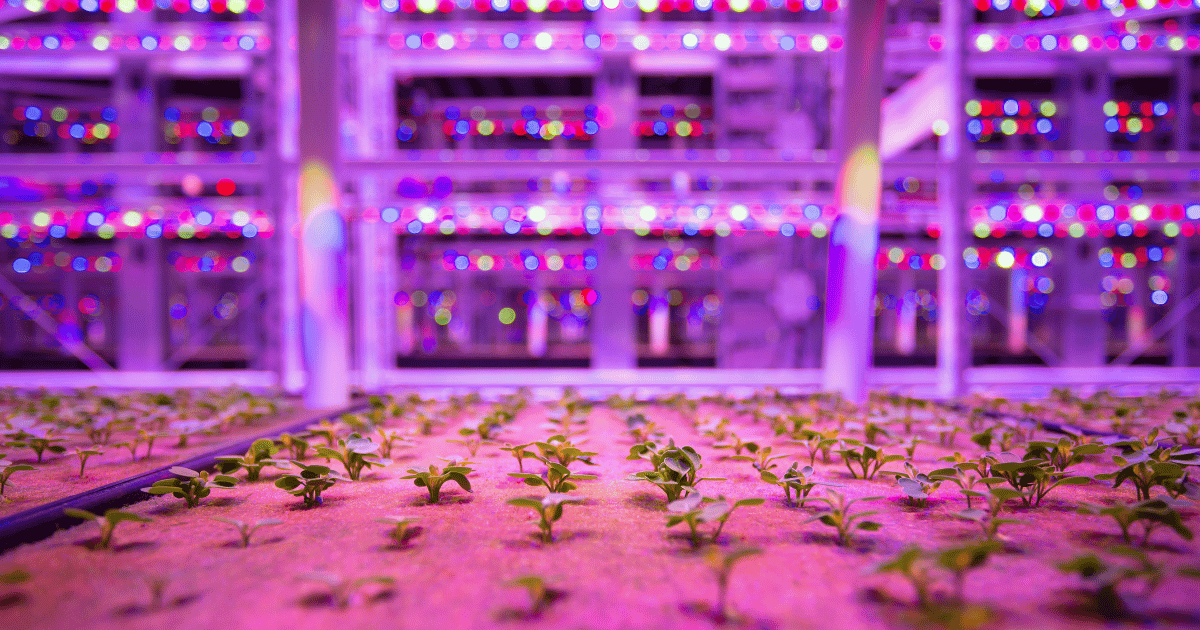 1000 AI-powered machines: Vision AI on an industrial scale